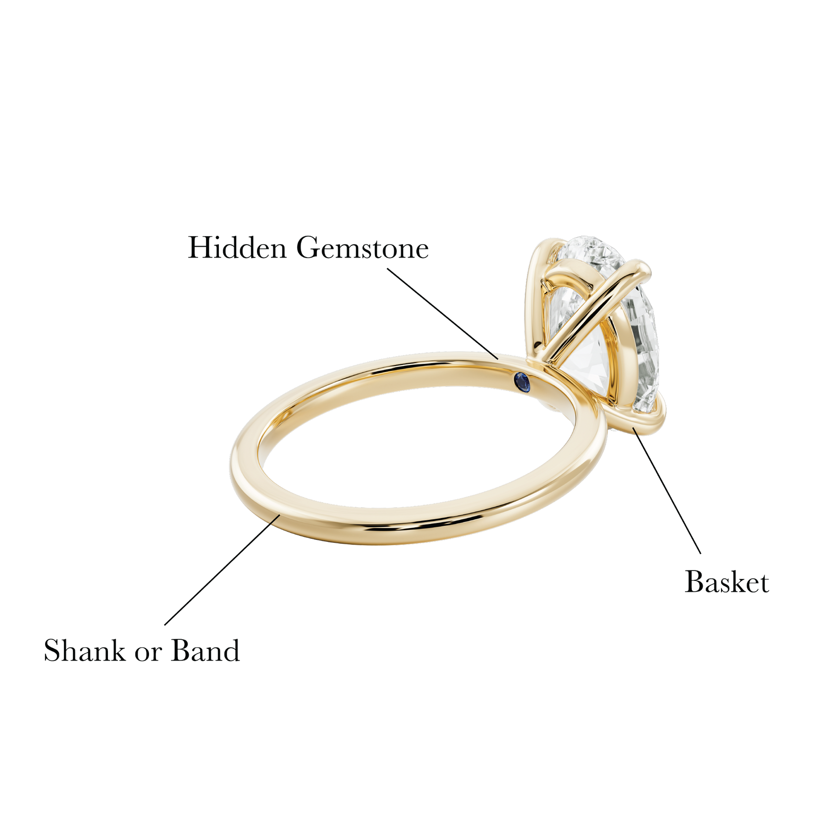 Anatomy Of A Ring – TMC Fine Jewellers