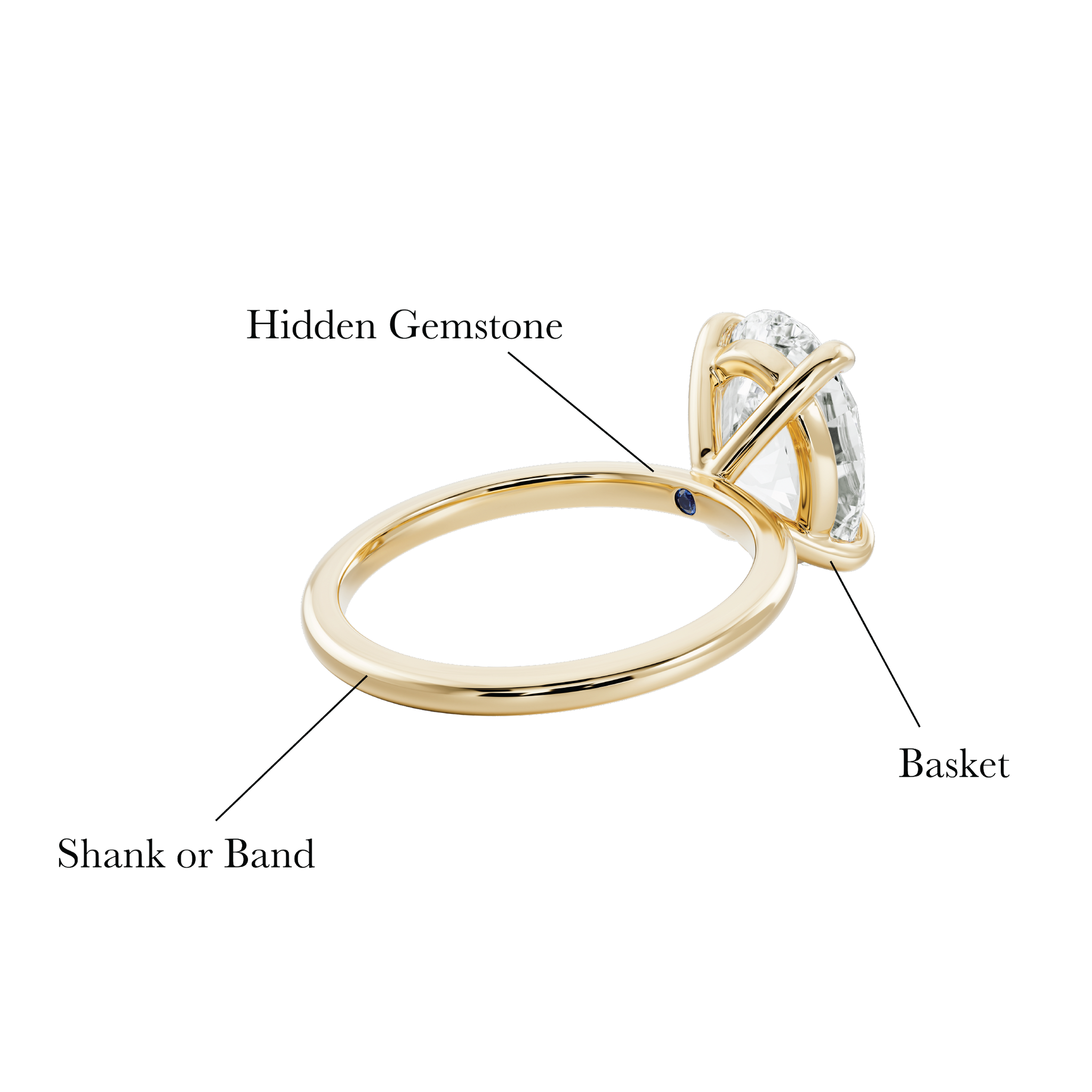 Anatomy Of A Ring – TMC Fine Jewellers