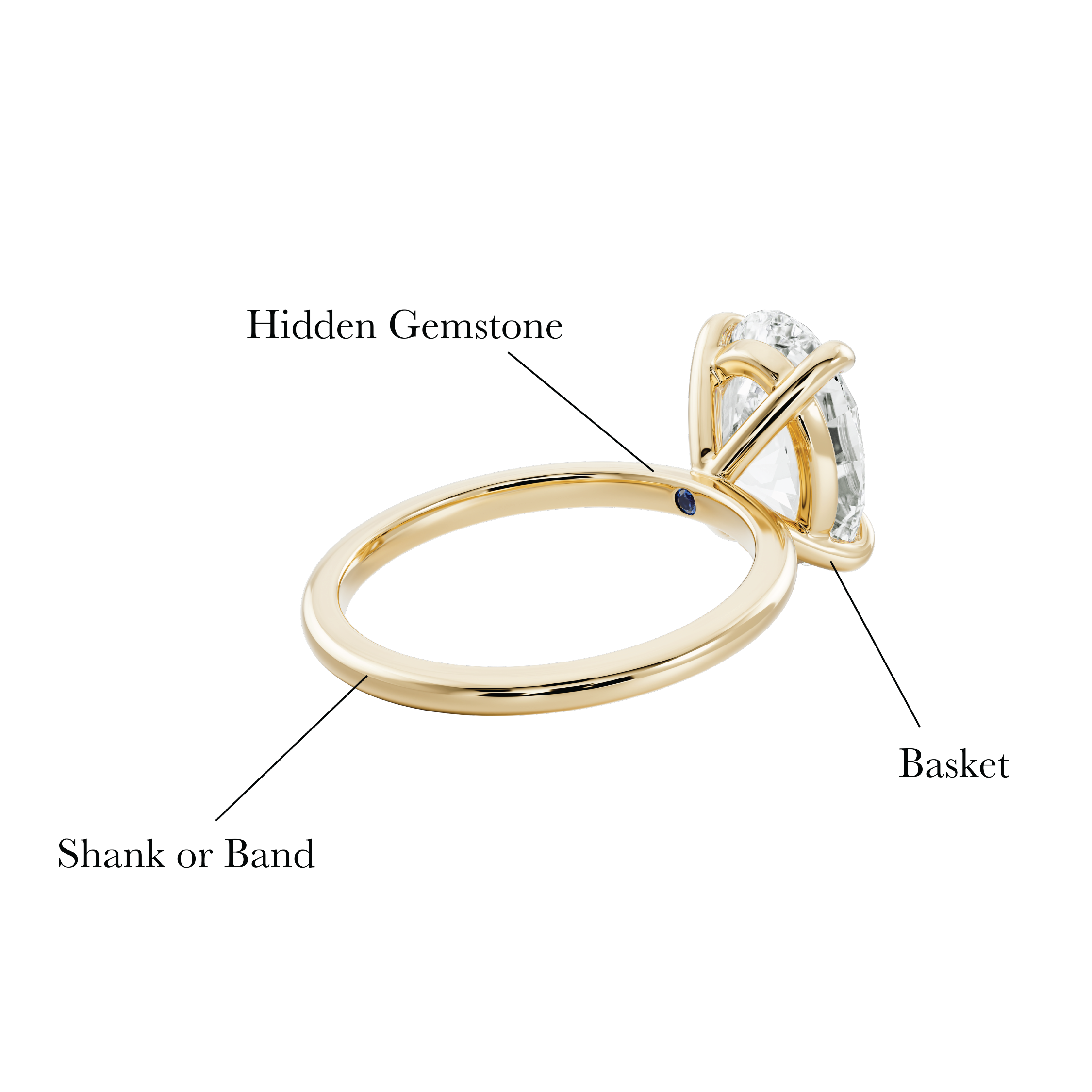 Anatomy Of A Ring – TMC Fine Jewellers