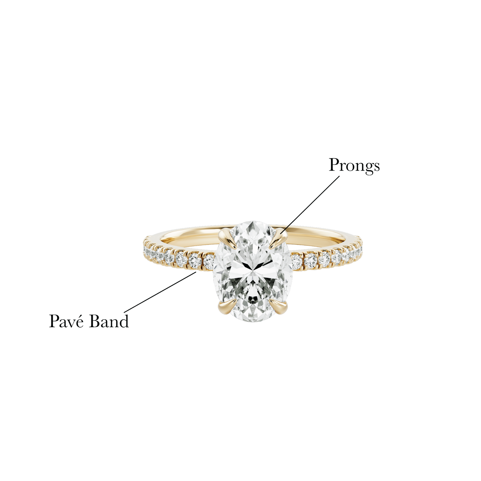 Anatomy Of A Ring – TMC Fine Jewellers