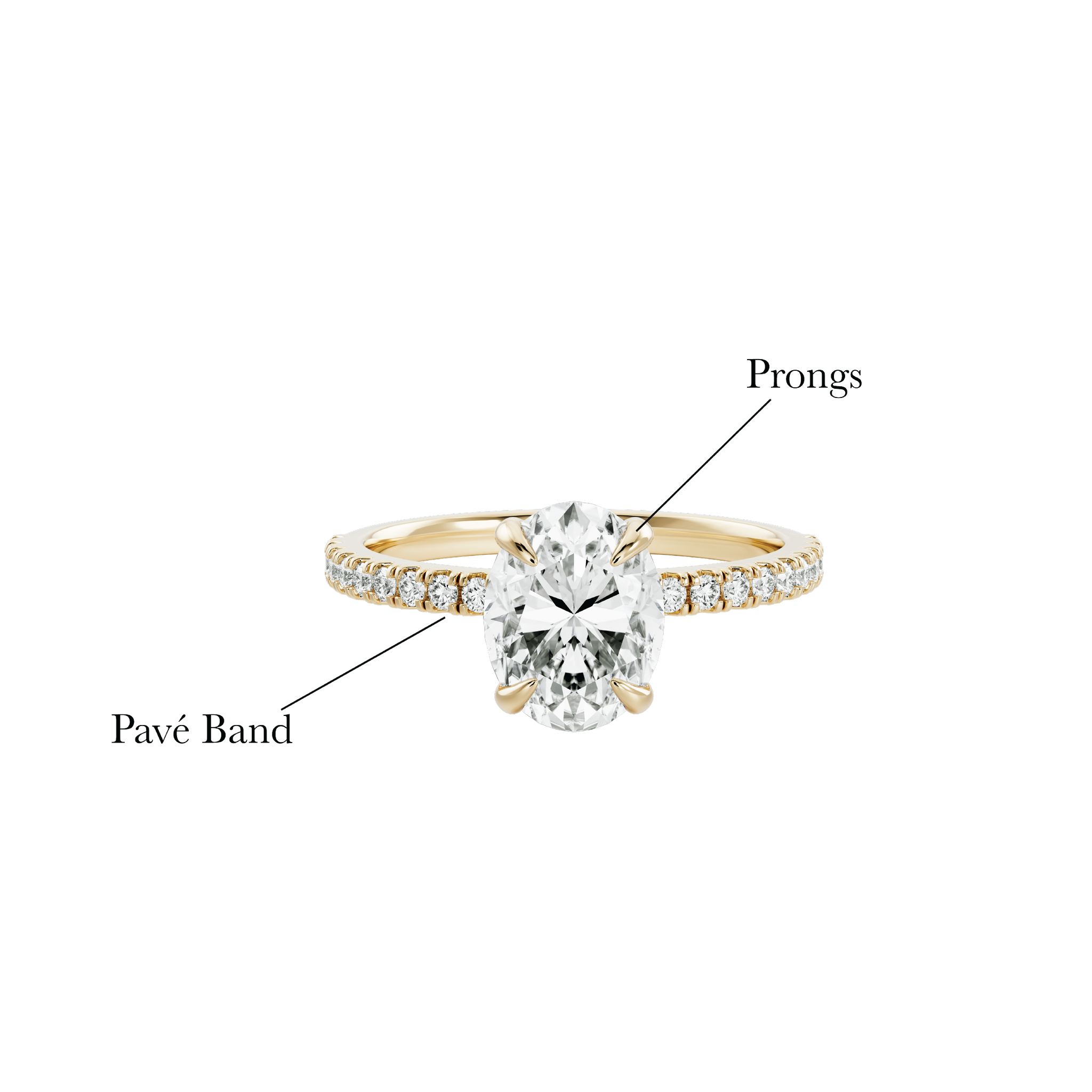 Anatomy Of A Ring – TMC Fine Jewellers