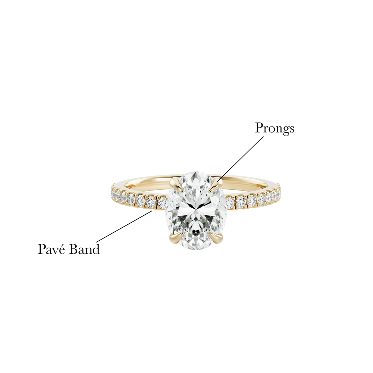 Anatomy Of A Ring – TMC Fine Jewellers