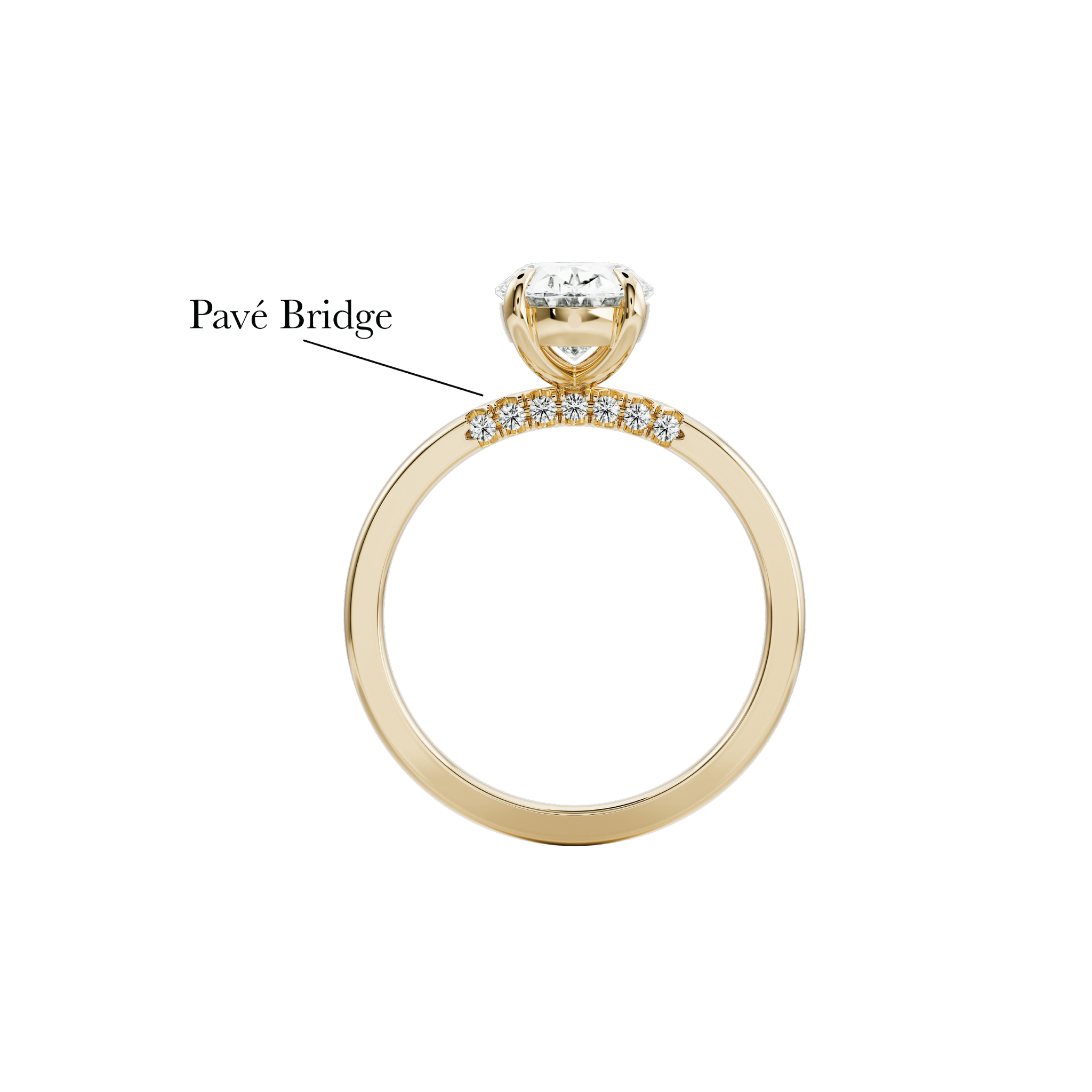 Anatomy Of A Ring – TMC Fine Jewellers