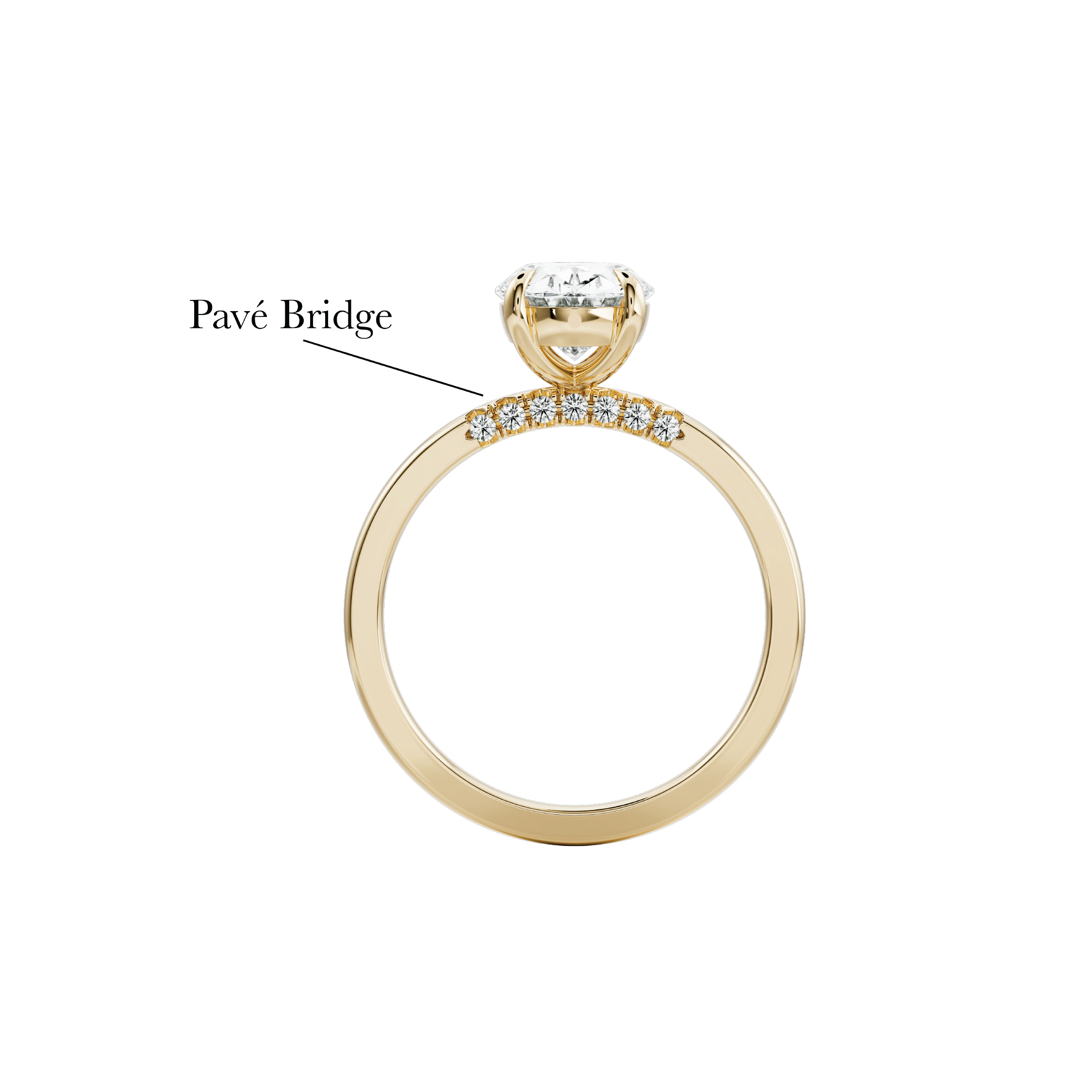 Anatomy Of A Ring – TMC Fine Jewellers