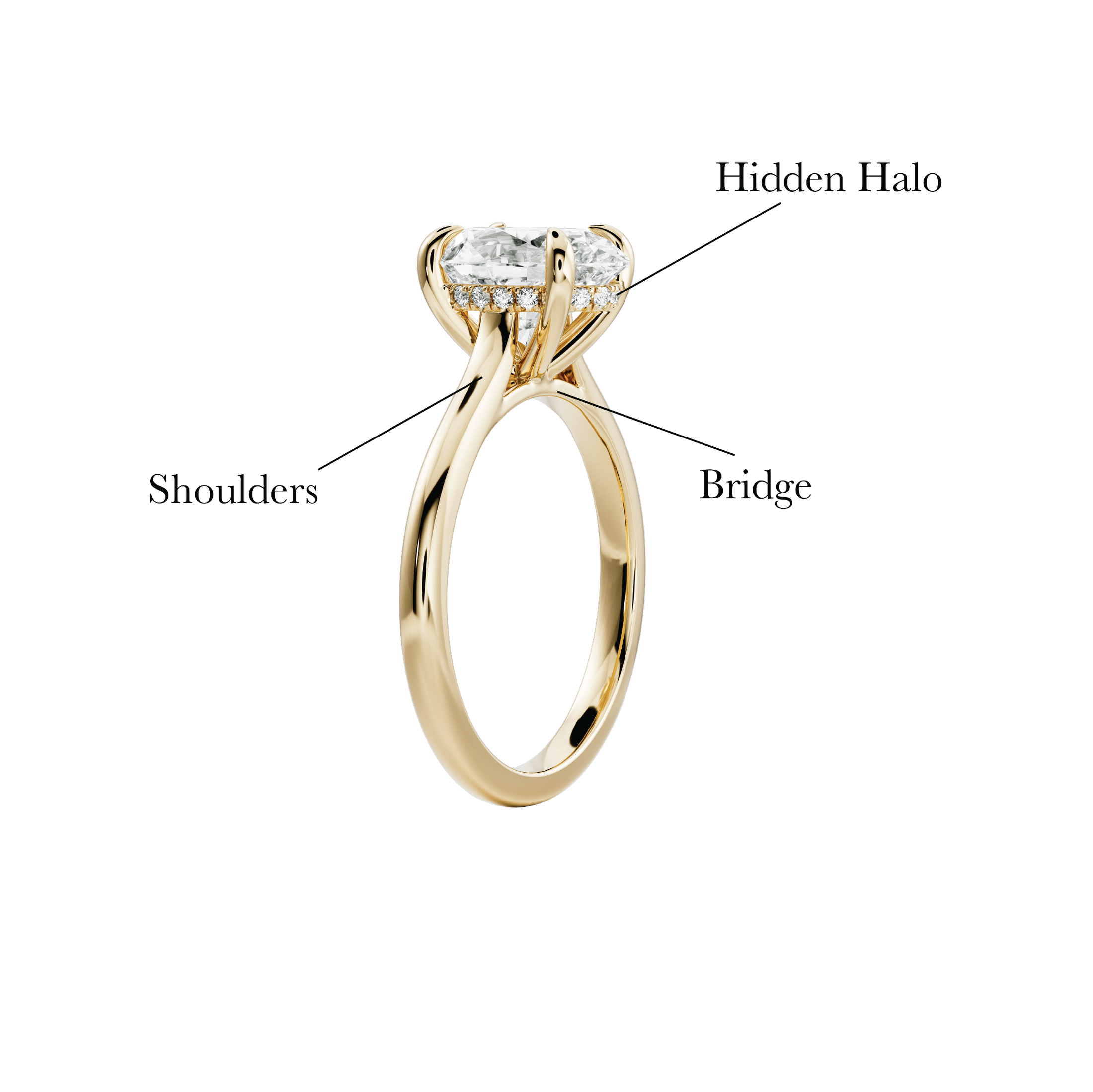 Anatomy Of A Ring – TMC Fine Jewellers