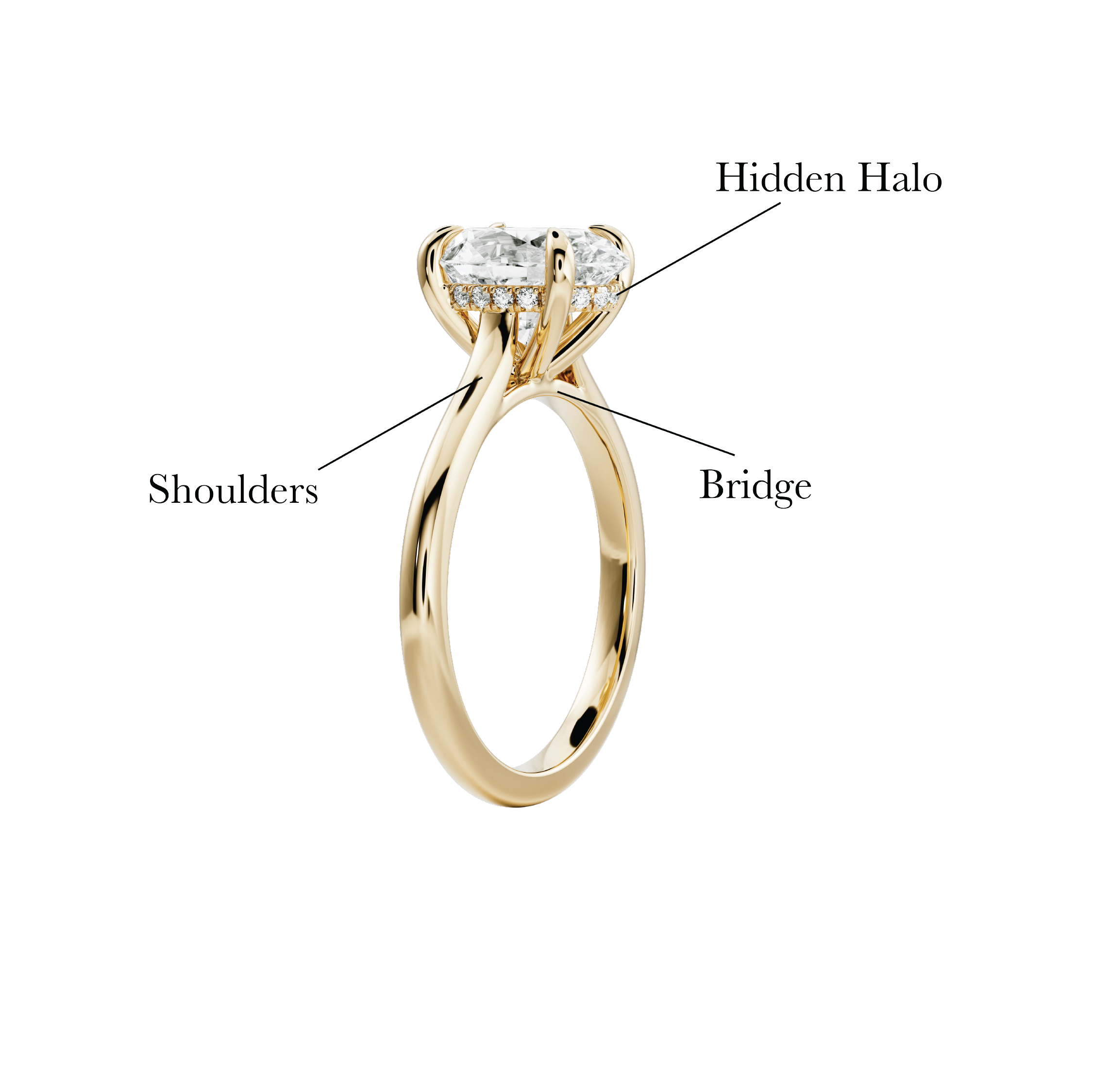 Anatomy Of A Ring – TMC Fine Jewellers