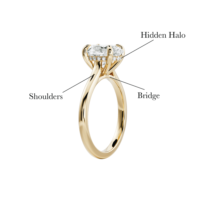 Anatomy Of A Ring – TMC Fine Jewellers