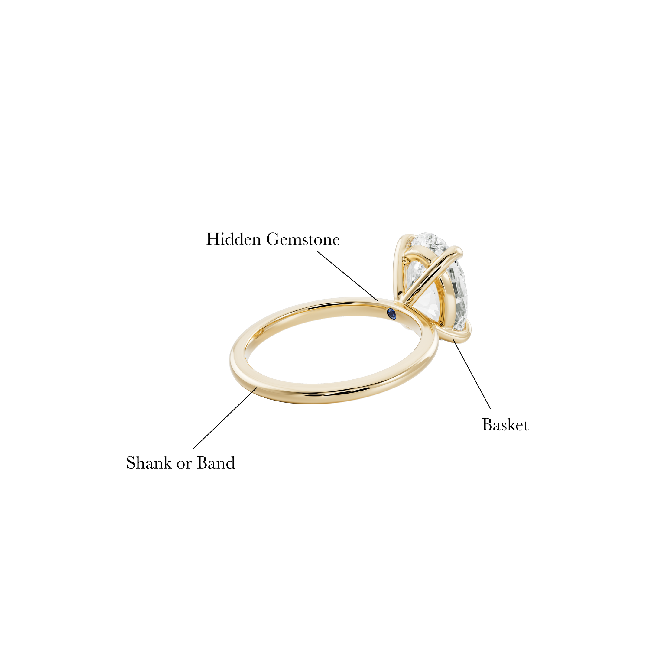Anatomy Of A Ring – TMC Fine Jewellers