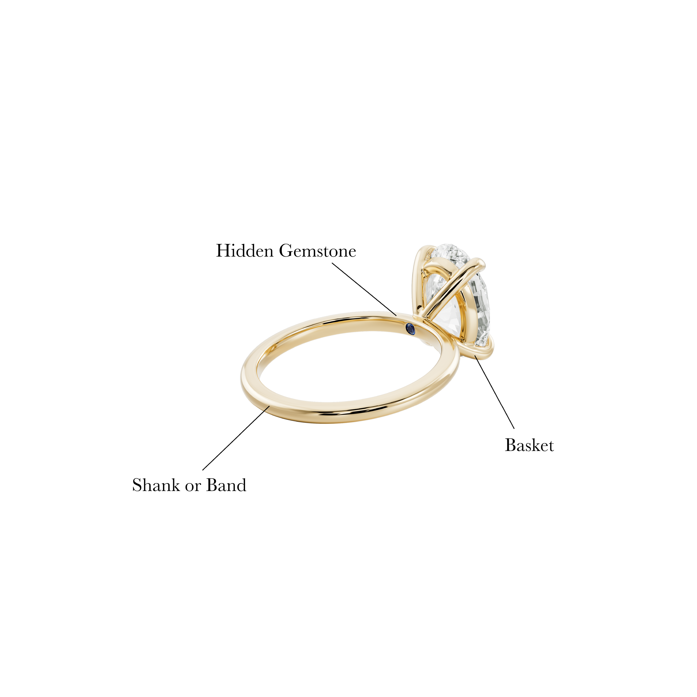 Anatomy Of A Ring – TMC Fine Jewellers