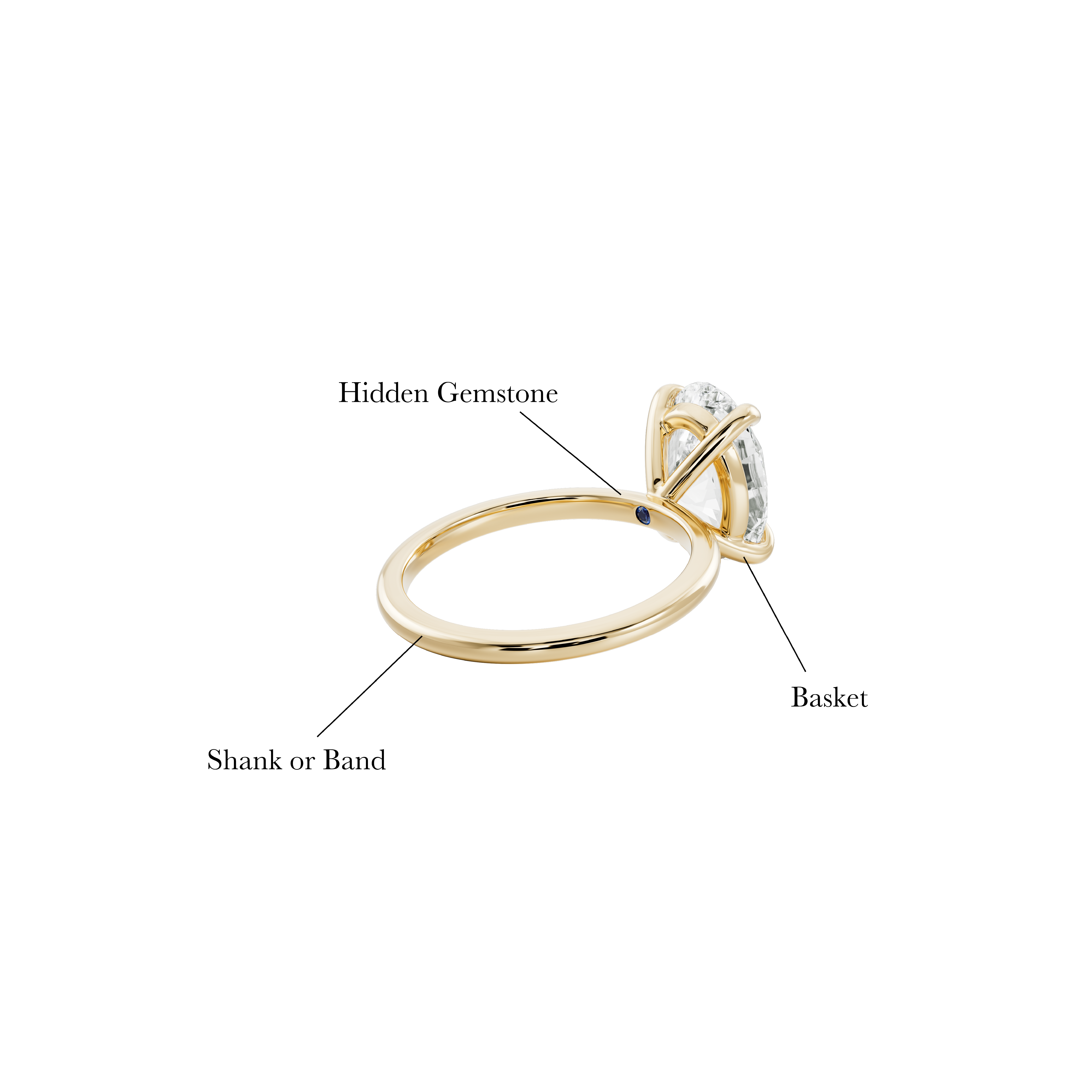 Anatomy Of A Ring – TMC Fine Jewellers