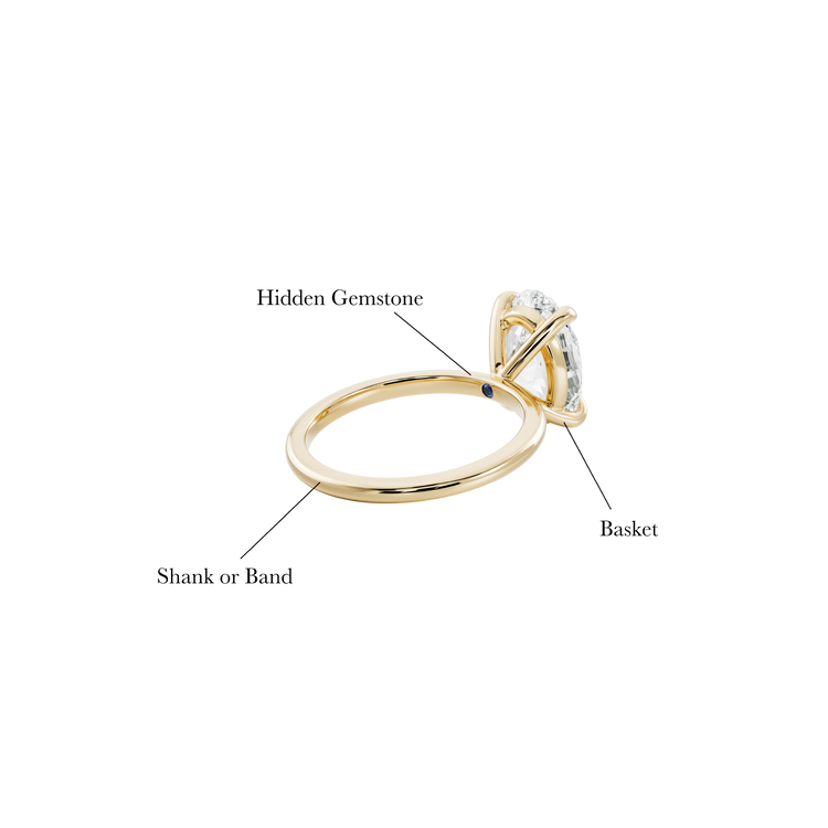 Anatomy Of A Ring – TMC Fine Jewellers