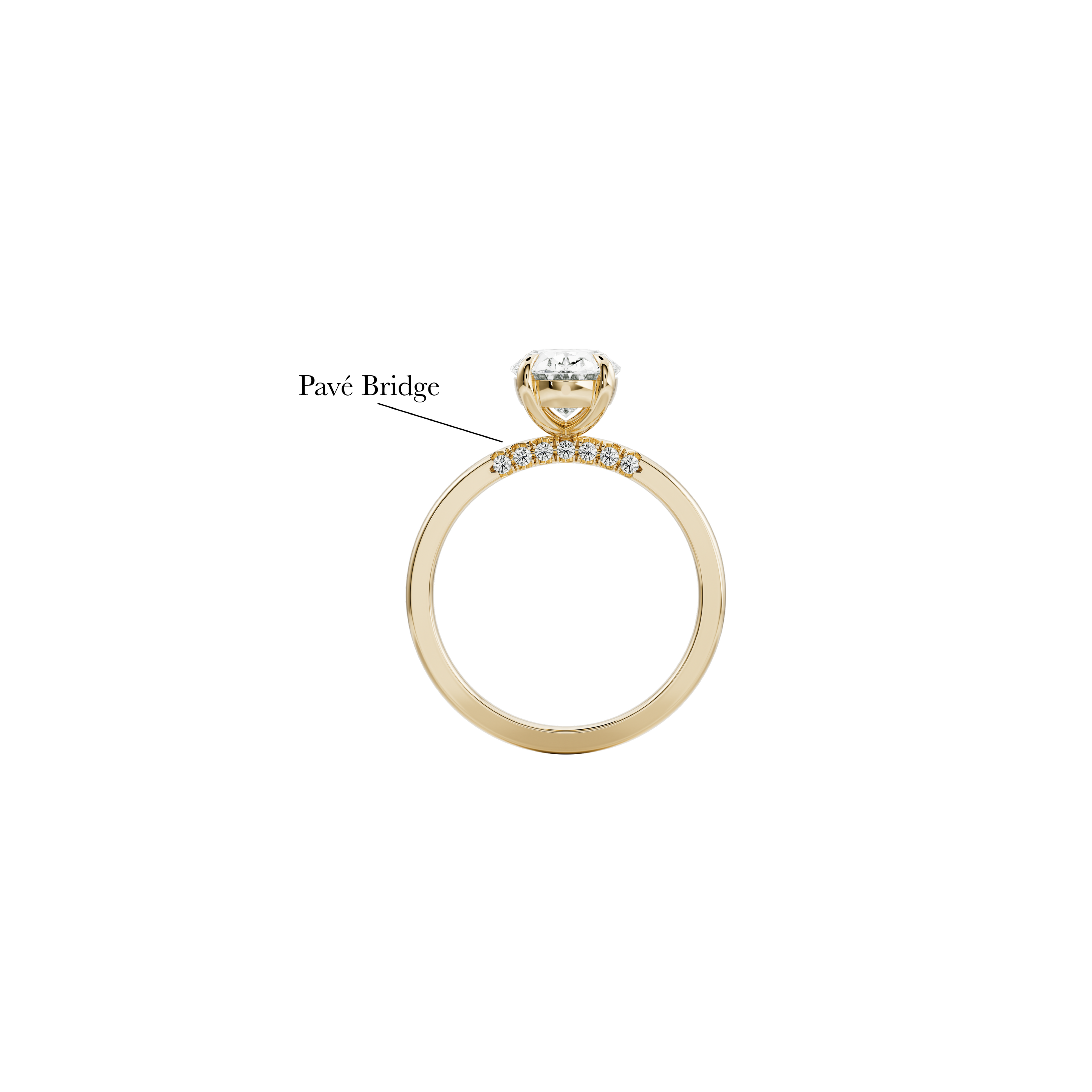 Anatomy Of A Ring – TMC Fine Jewellers