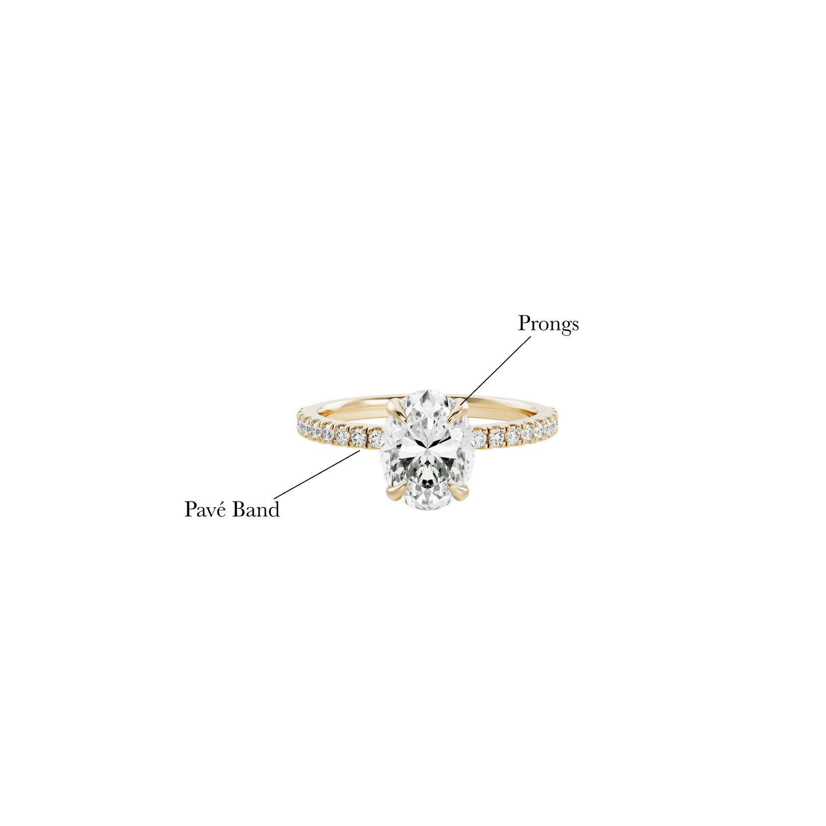 Anatomy Of A Ring – TMC Fine Jewellers
