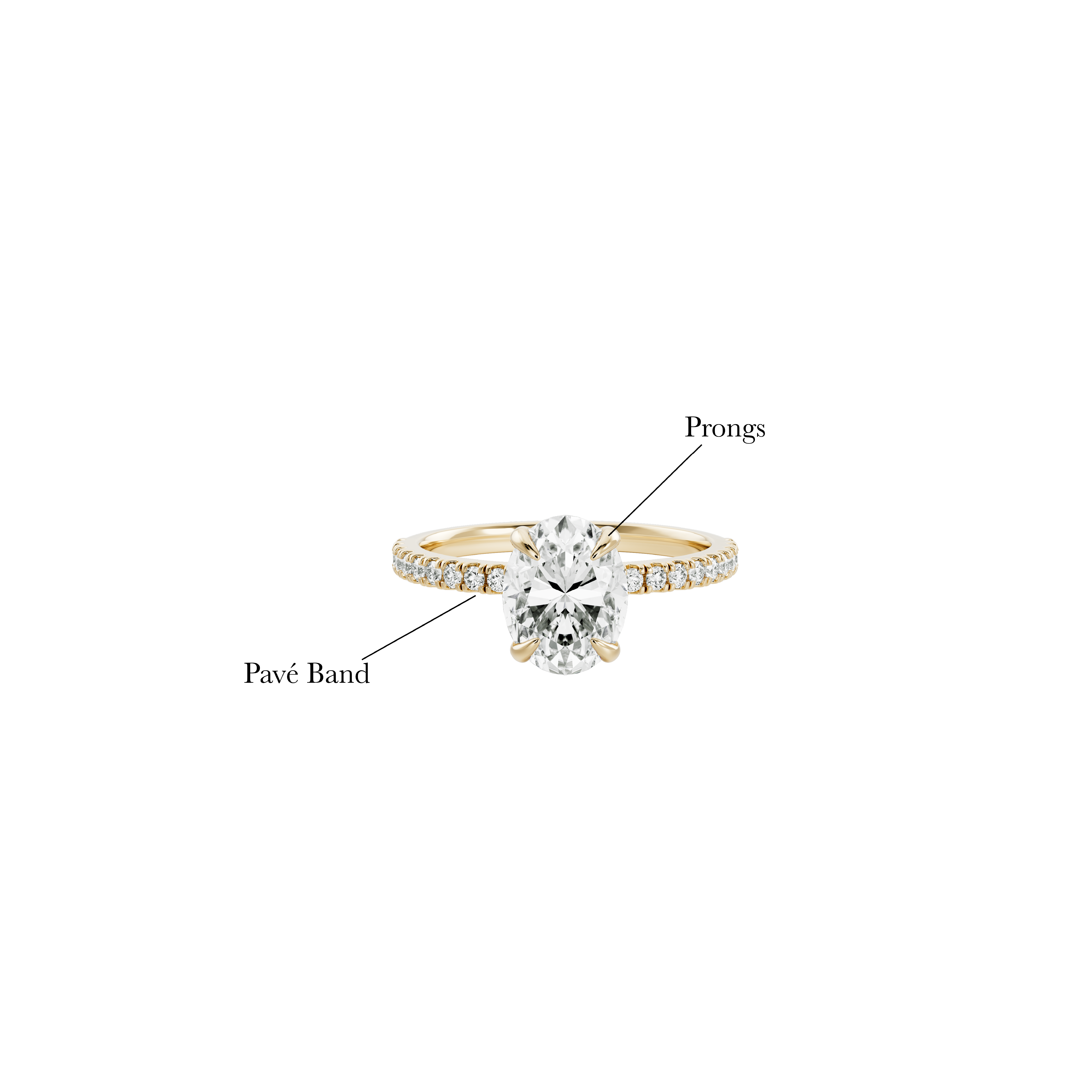 Anatomy Of A Ring – TMC Fine Jewellers