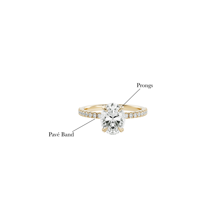 Anatomy Of A Ring – TMC Fine Jewellers
