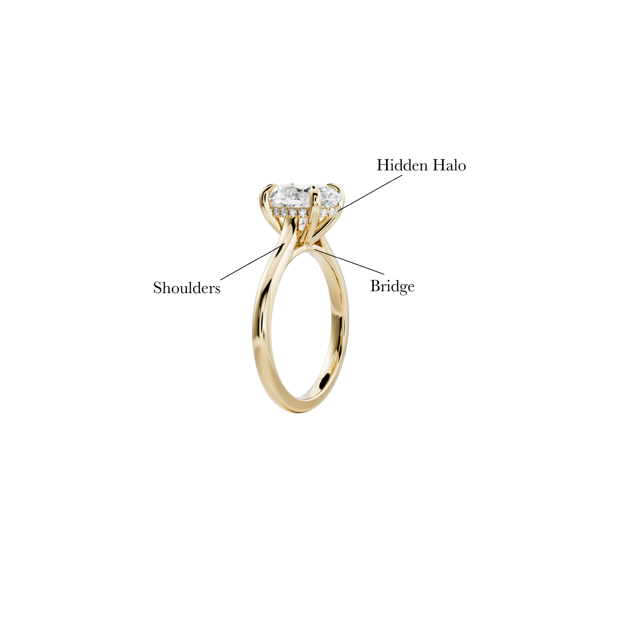 Anatomy Of A Ring – TMC Fine Jewellers