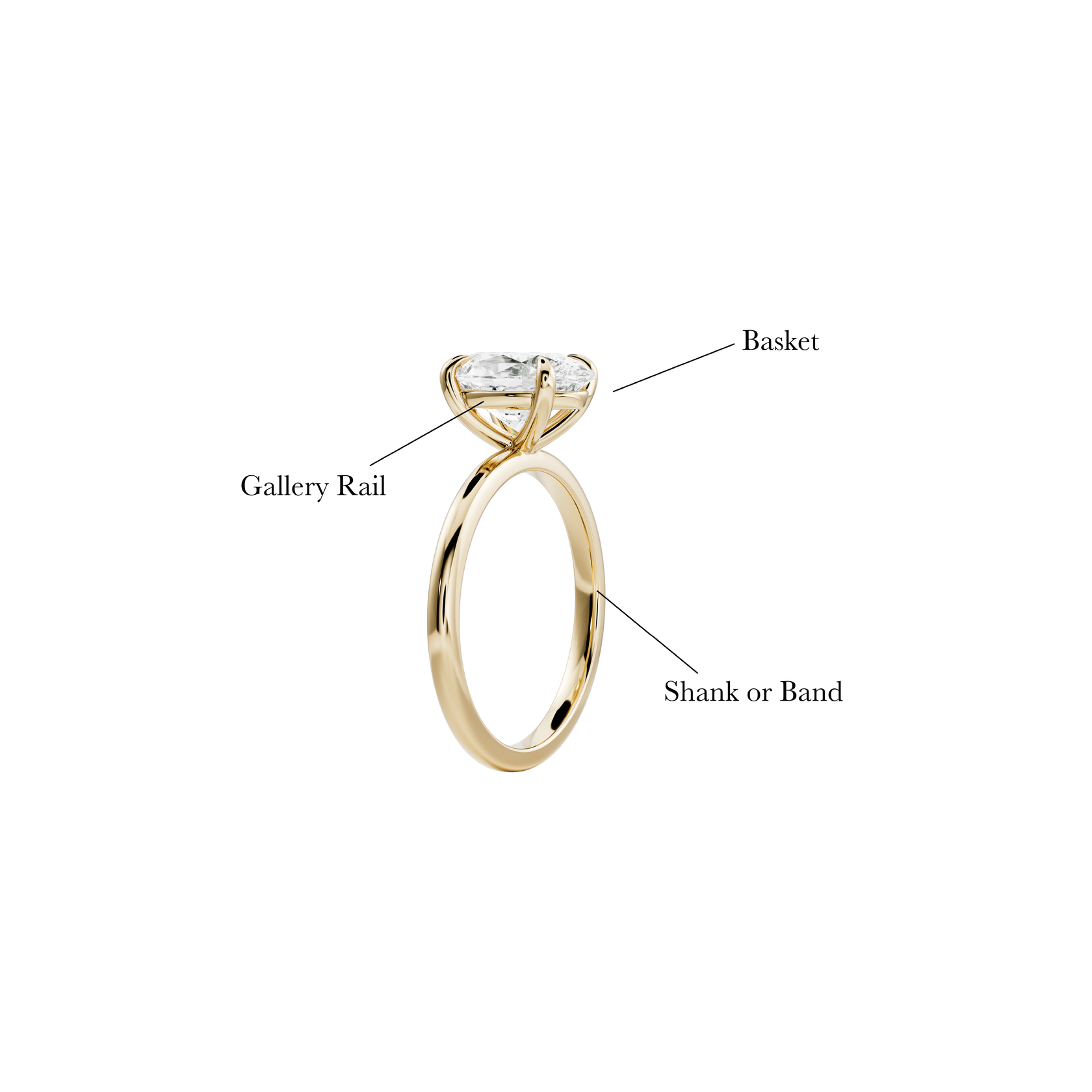 Anatomy Of A Ring – TMC Fine Jewellers